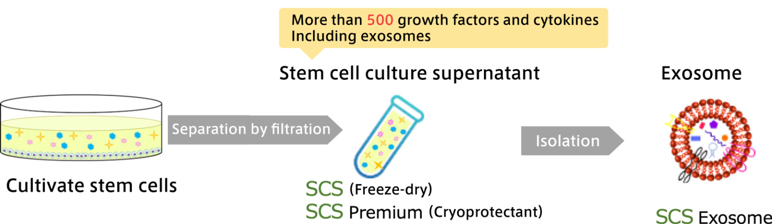 Stem cell culture supernatant - Frontier